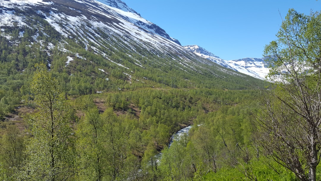 Ofoten-Balsfjord | Statnett