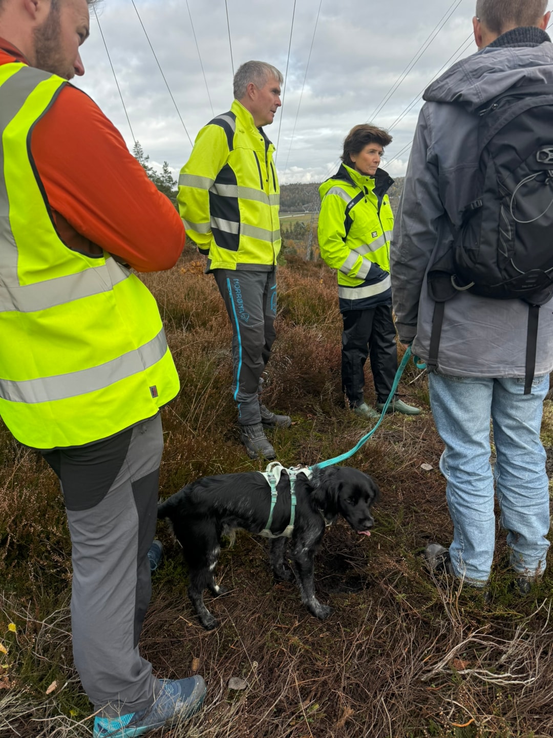Åpen kontordag for nye transformatorstasjoner | Statnett